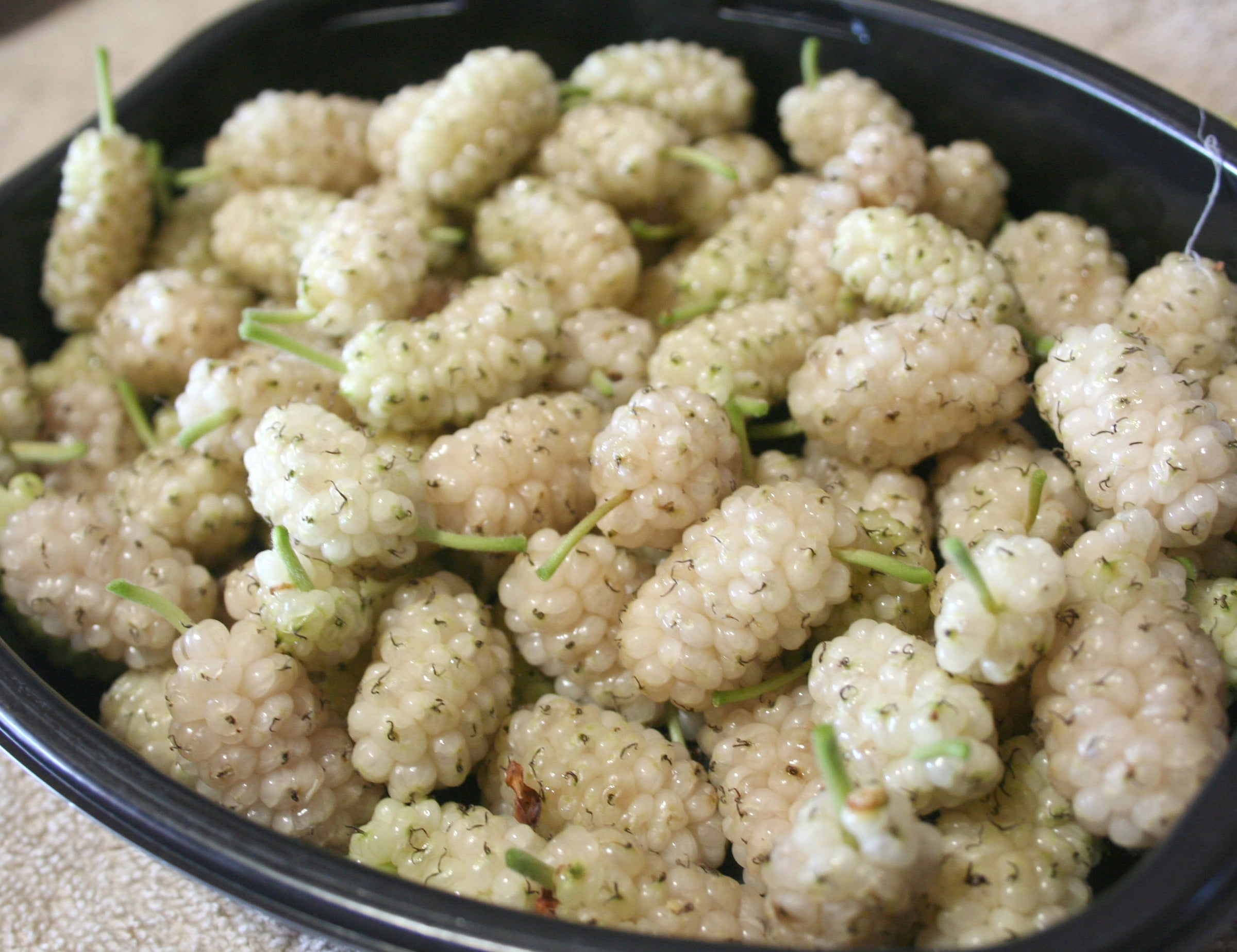 White Mulberry Recipes